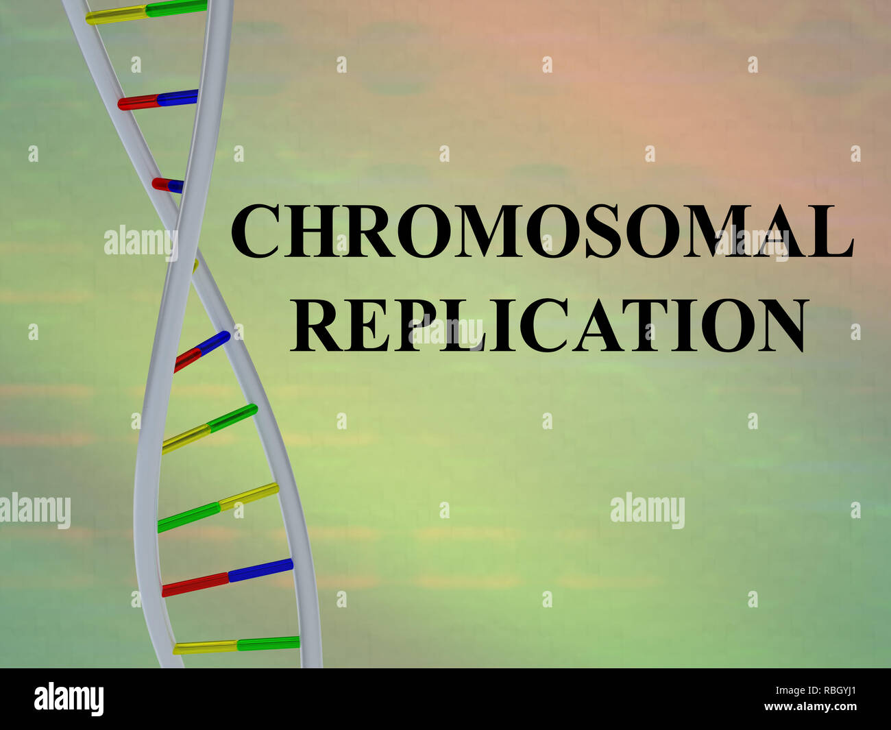 3d dna replication model hi-res stock photography and images - Alamy