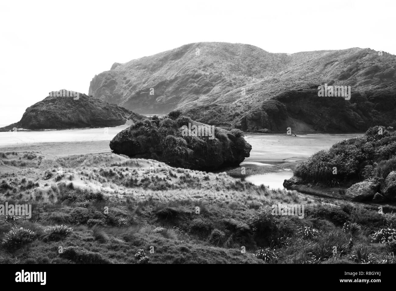 Bush at the beach Black and White Stock Photos & Images - Alamy
