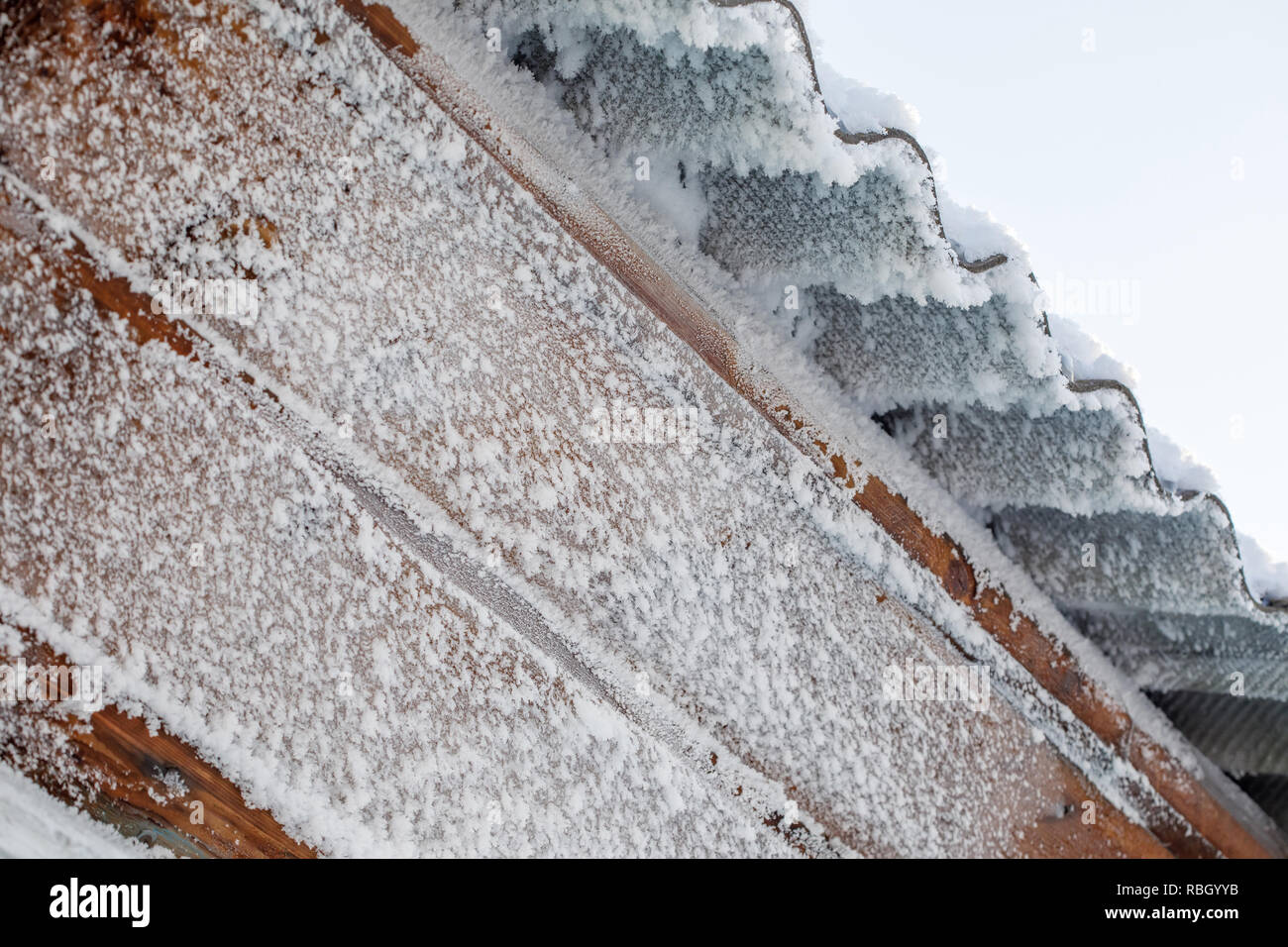 Frozen roof covered with frost and snow, extremely cold siberian ...