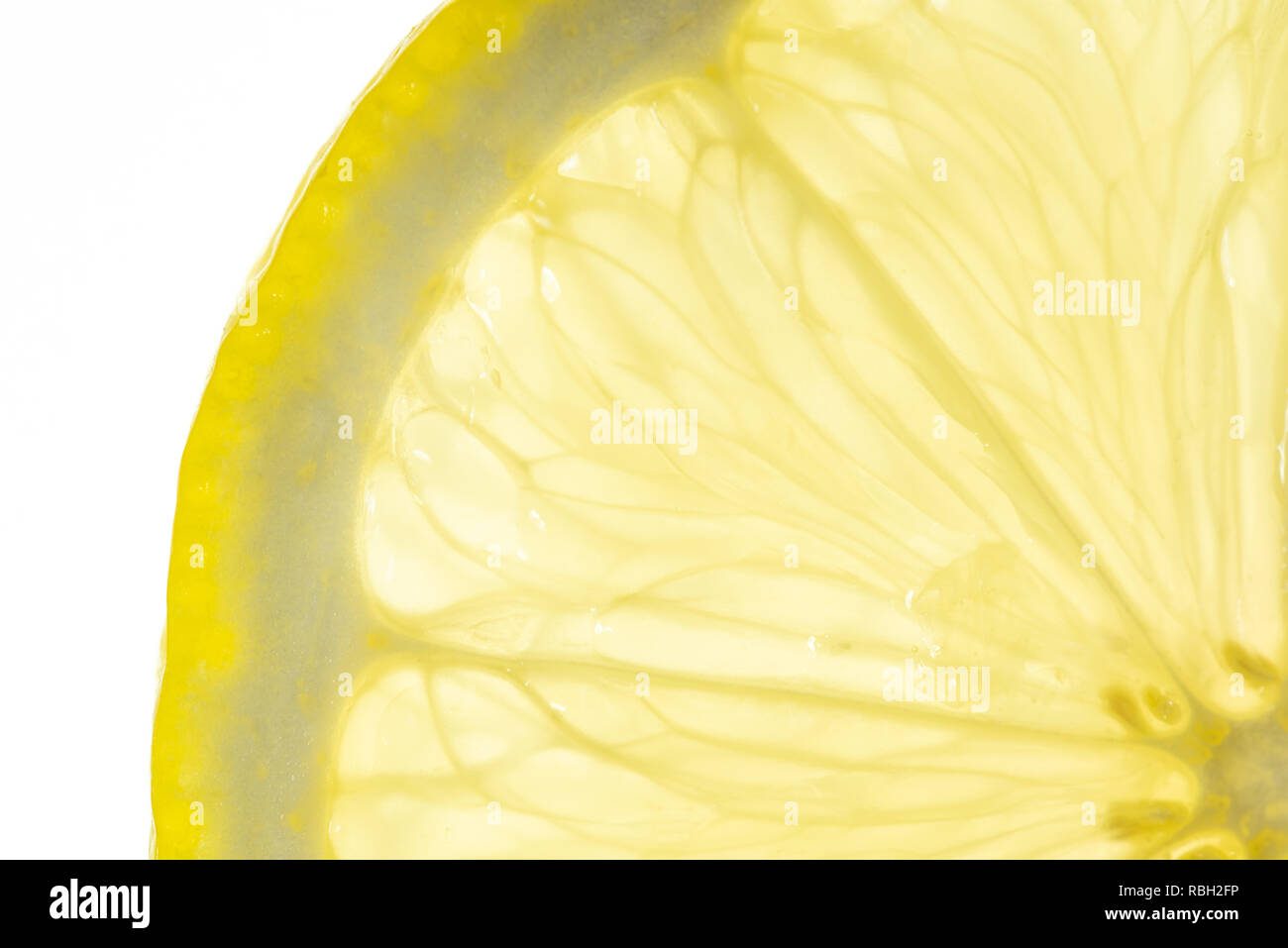 Lemon slice close-up backlit on white background Stock Photo - Alamy
