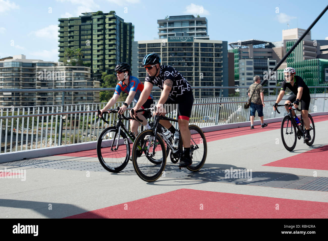 Cyclists crossing Goodwill Bridge, Brisbane, Queensland, Australia ...