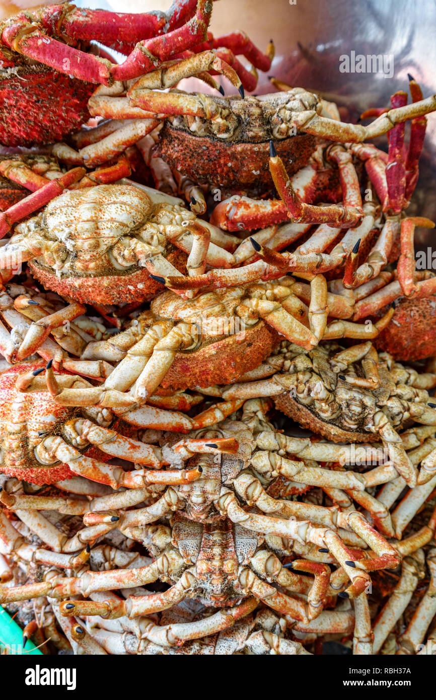 Fresh spider crabs hi-res stock photography and images - Alamy