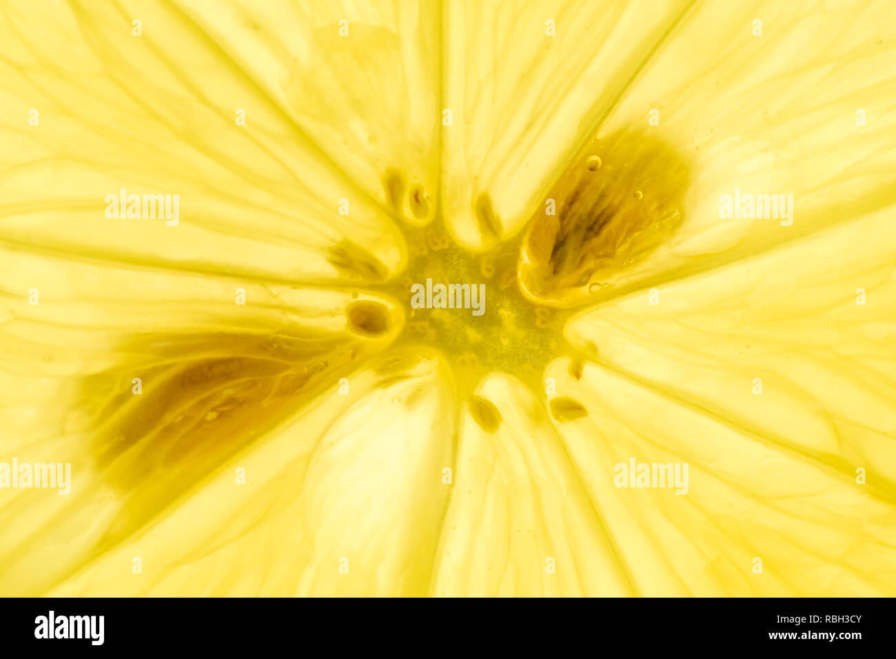 Backlit citrus fruit hi-res stock photography and images - Alamy