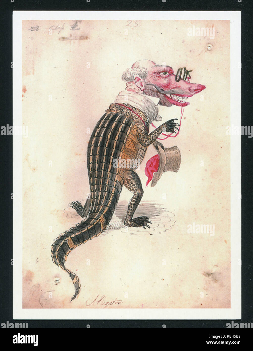 Krewe of comus hi-res stock photography and images - Alamy