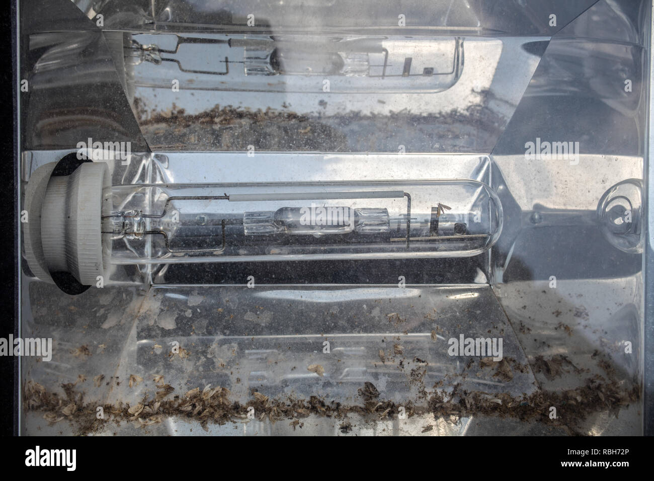 Tubular Light Bulb in Horizontal View Reflecting Image. Elongated ...