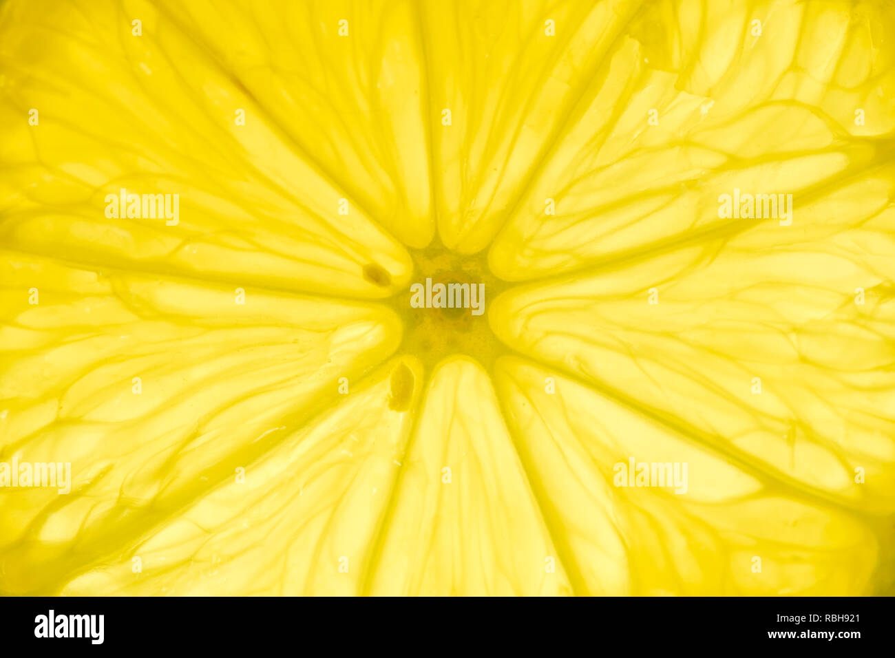 Fresh lemon slice detail backlit close-up view Stock Photo - Alamy