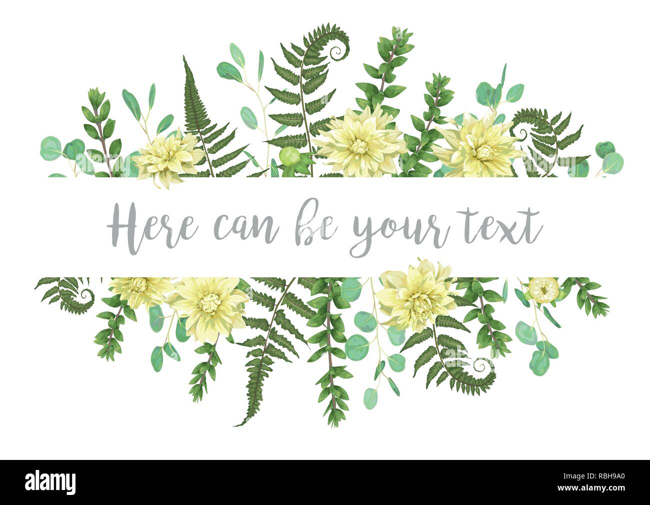 Boxwood vector vectors Cut Out Stock Images & Pictures - Alamy