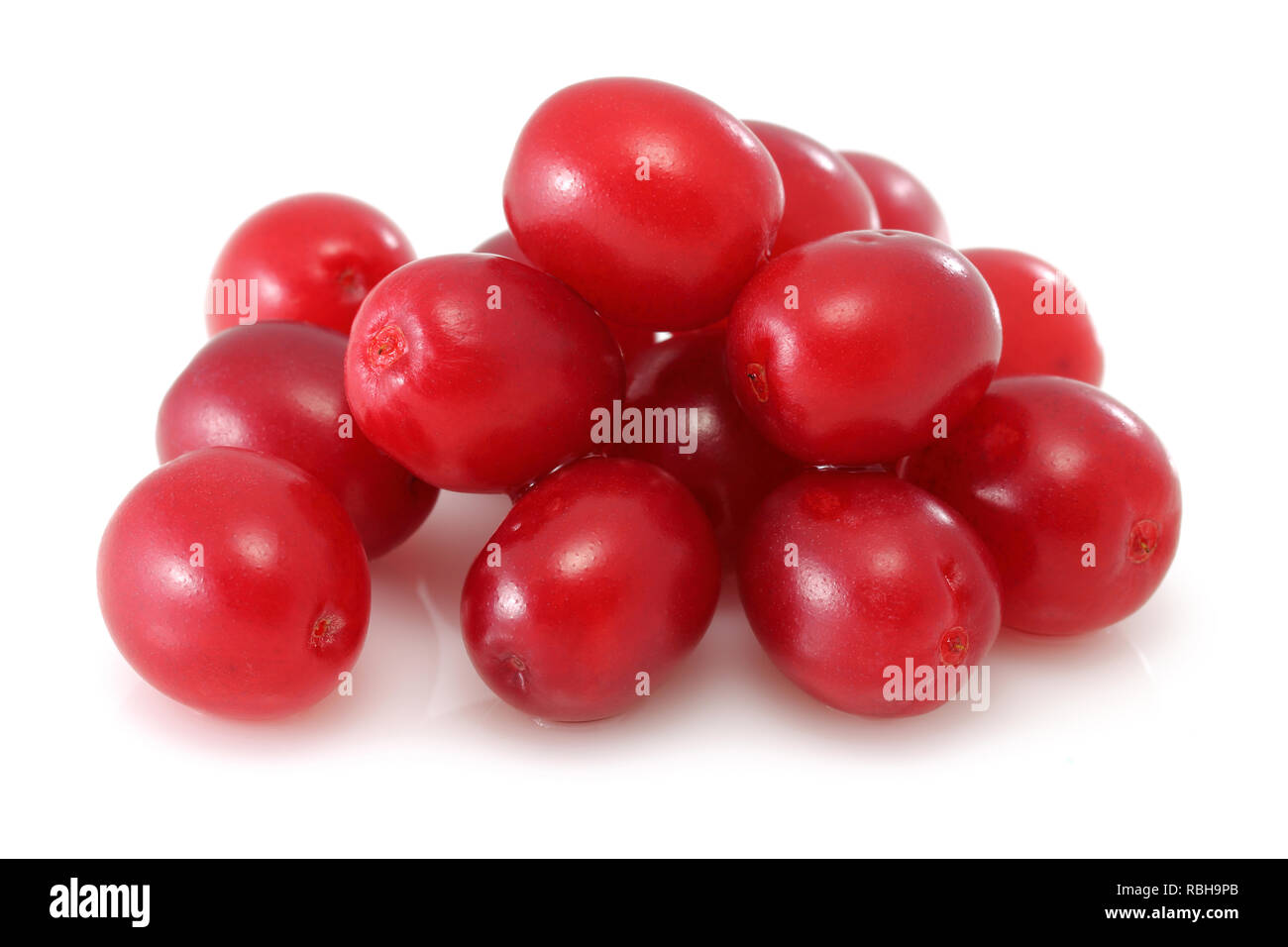 Fresh Cranberries isolated on white background Stock Photo - Alamy