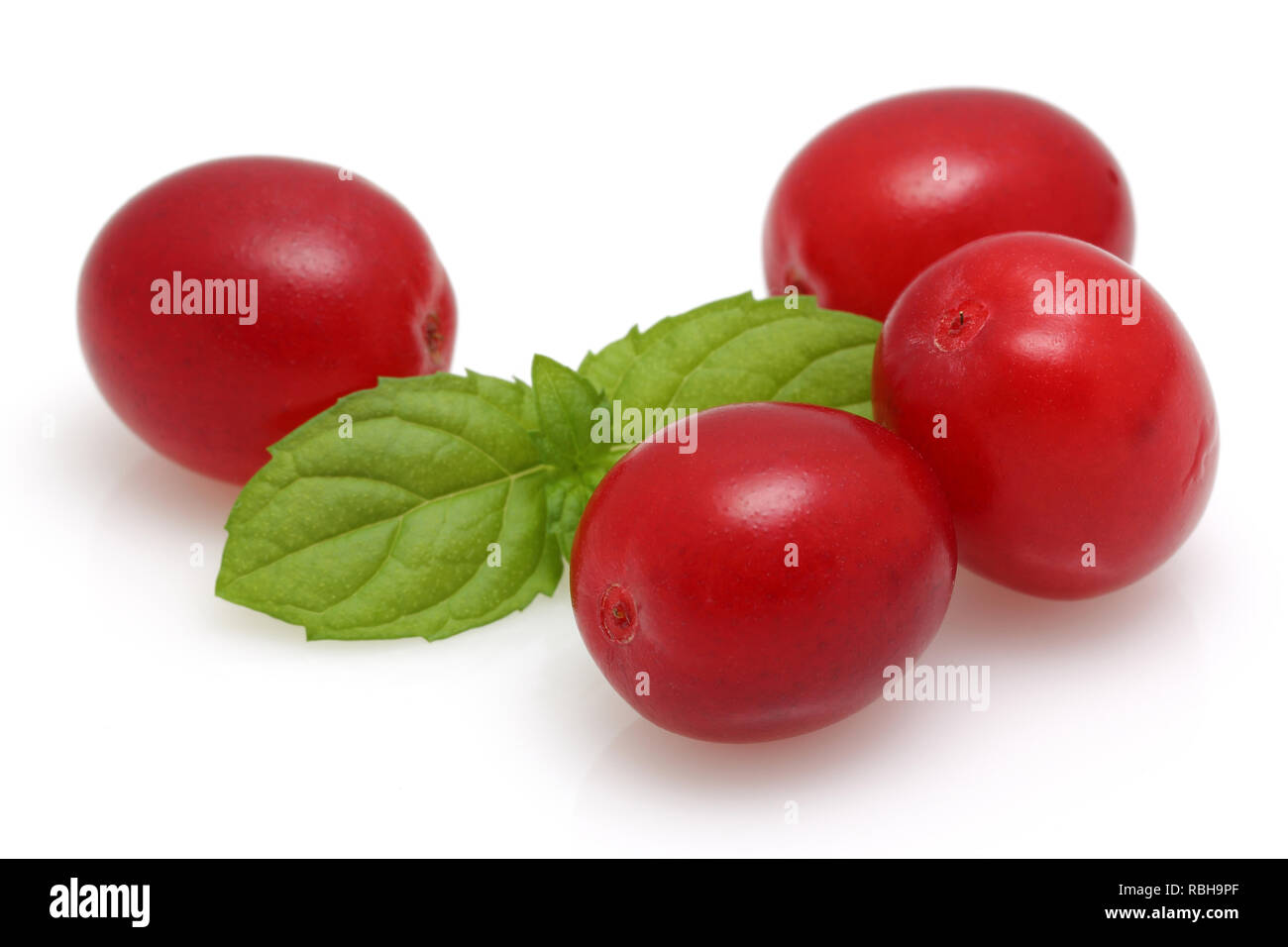Fresh Cranberries with leaves isolated on white background Stock Photo ...