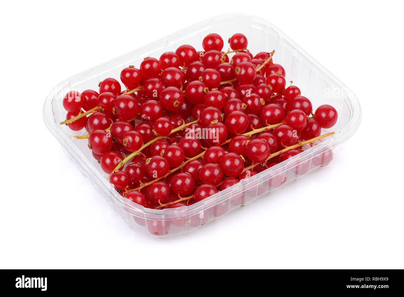 Red Currant in transparent box isolated on white background Stock Photo ...