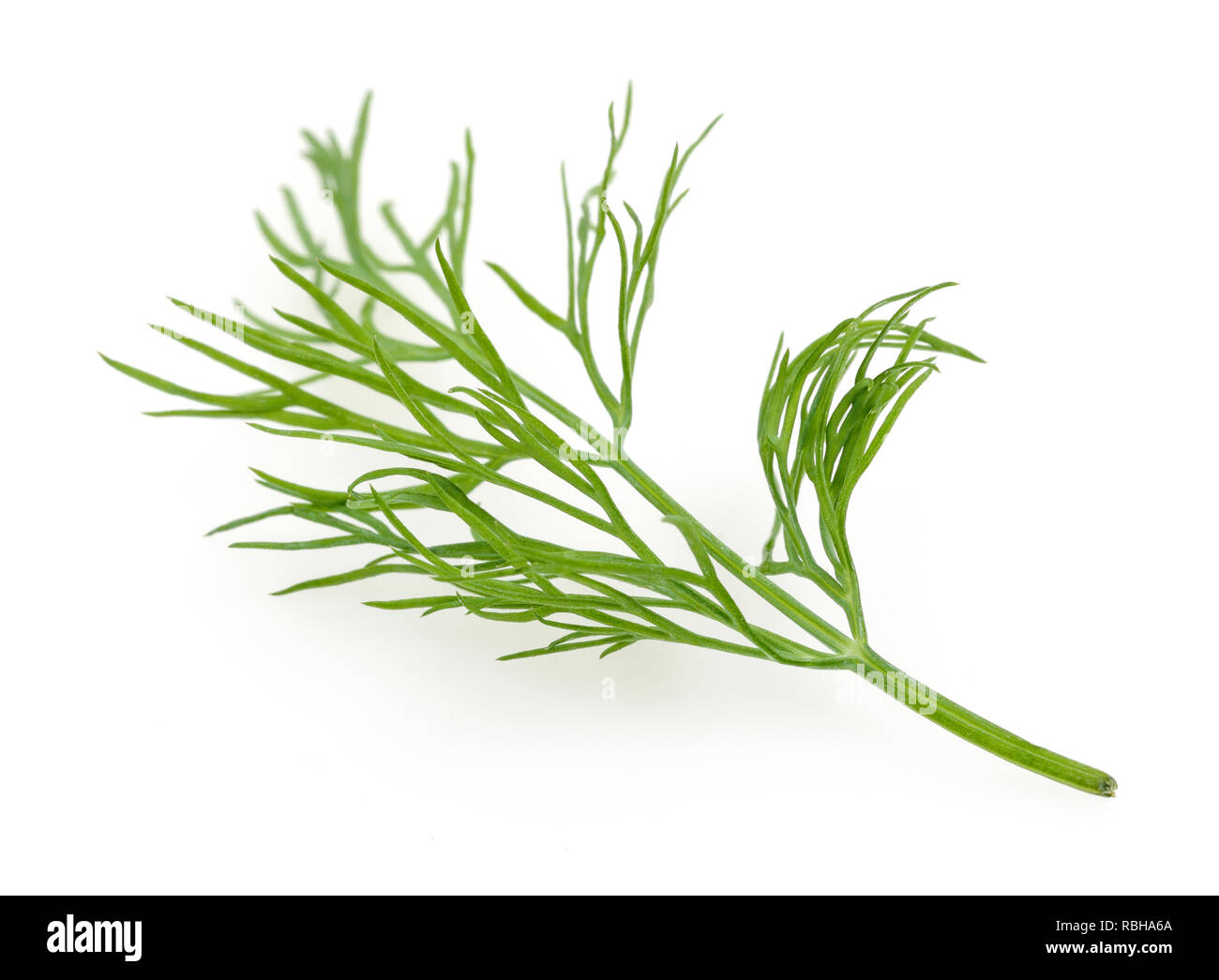 Fresh green dill isolated on white background Stock Photo - Alamy