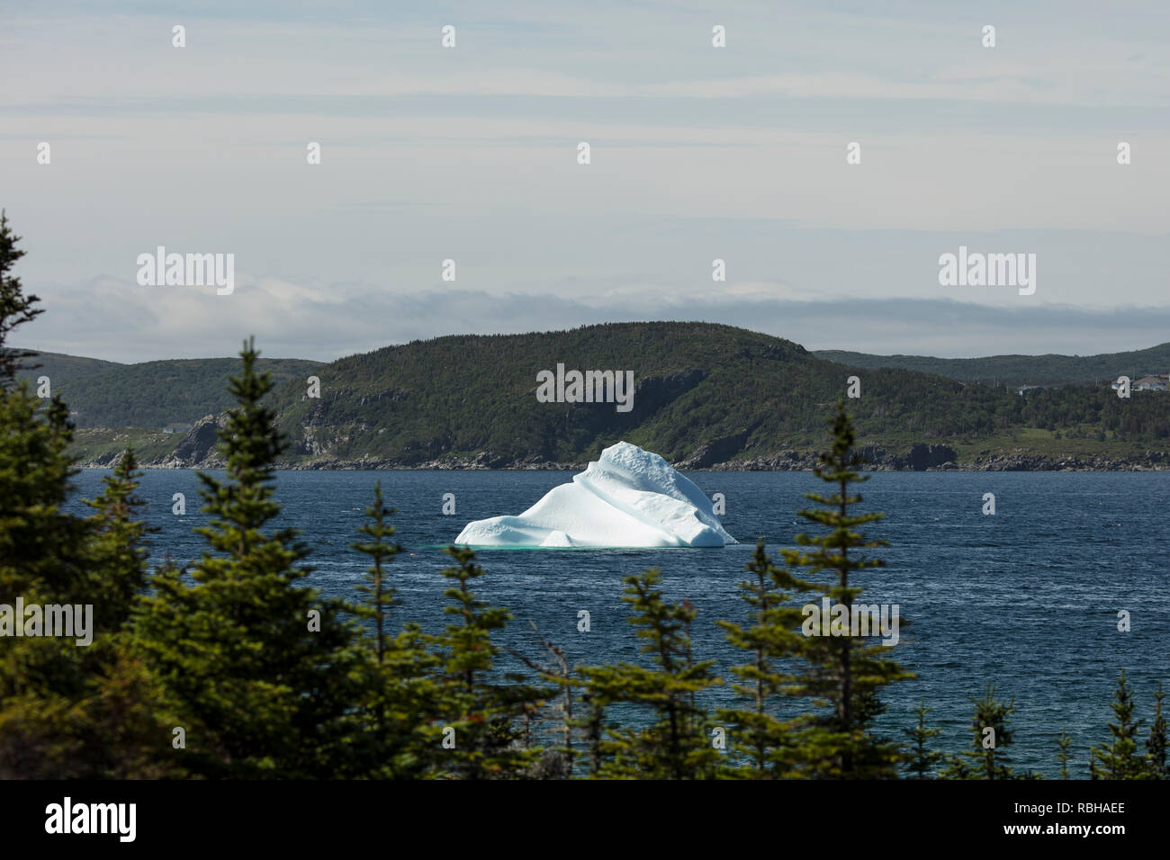 St anthony newfoundland hi-res stock photography and images - Alamy