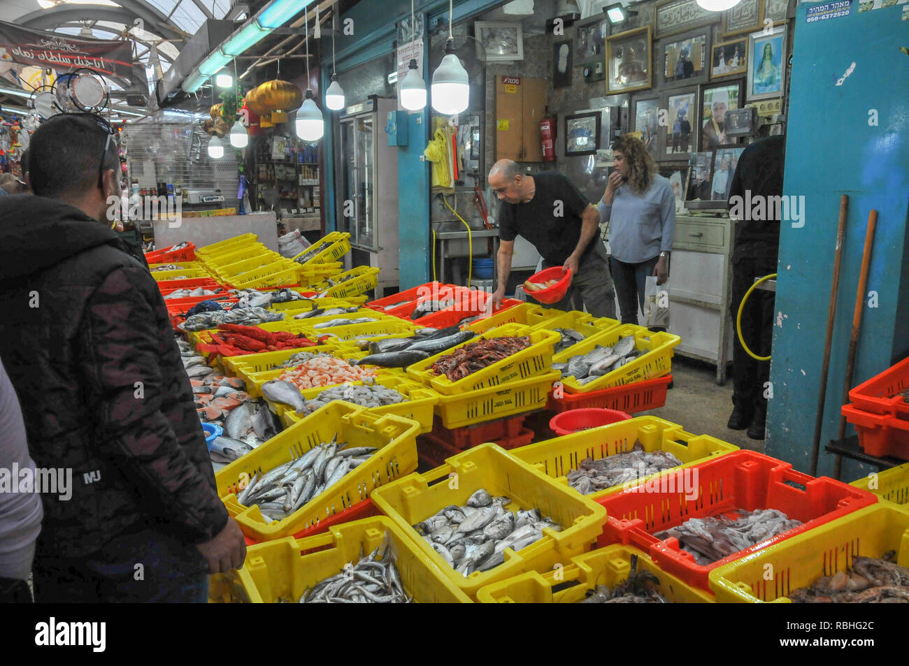 Israel, western Galilee, Acre, The Old City market fresh fish stand ...