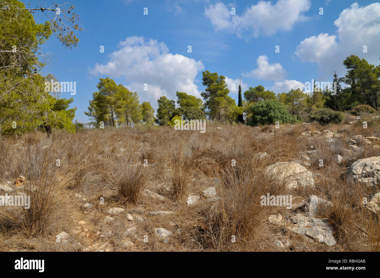 Israel, Judean Mountains, Tel Azekah or (Tell Azekah) has been ...