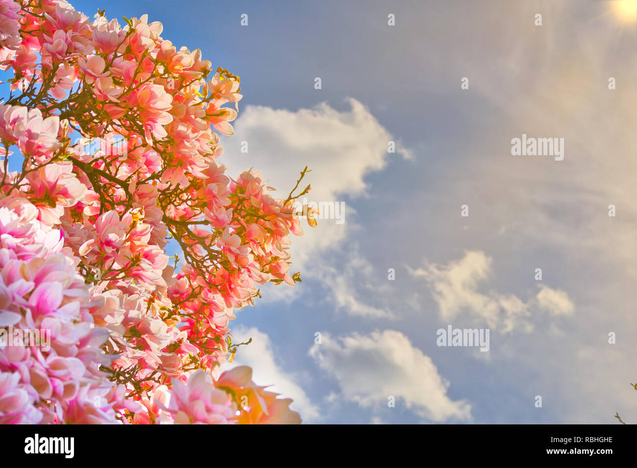 Background advertising fresh hi-res stock photography and images - Alamy