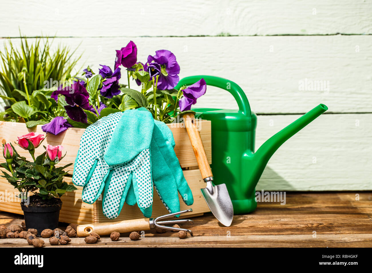 Gardening tools and flowers Stock Photo - Alamy
