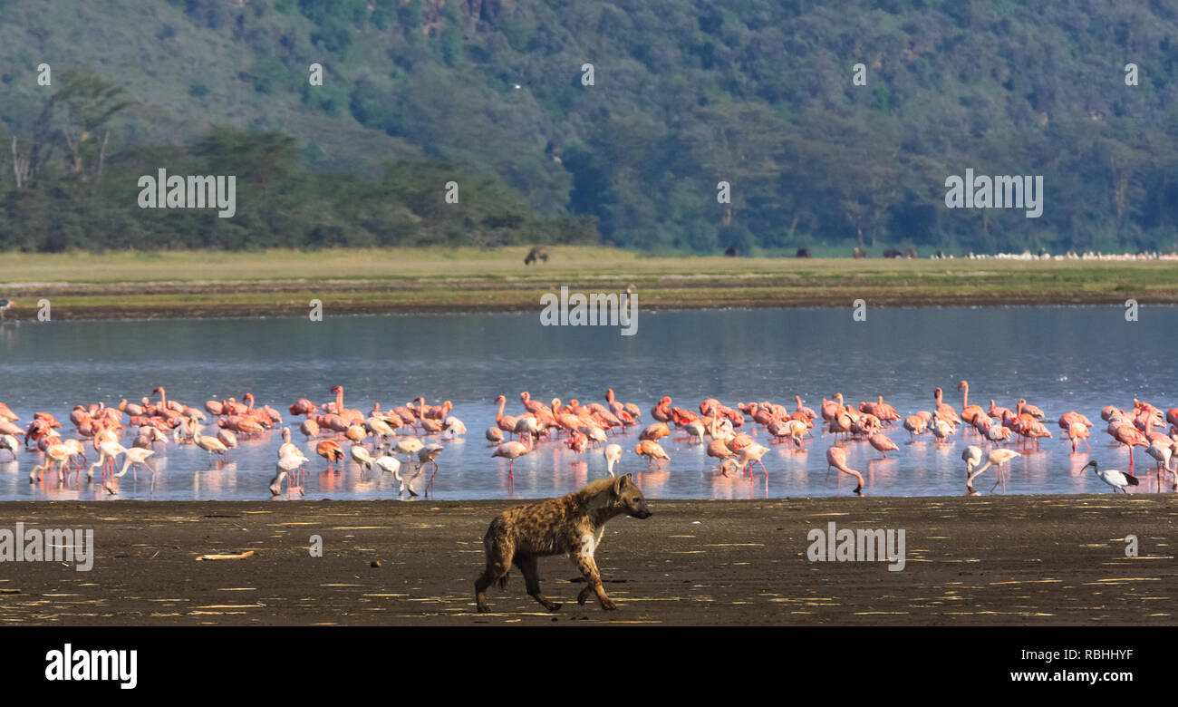 Huena hi-res stock photography and images - Alamy