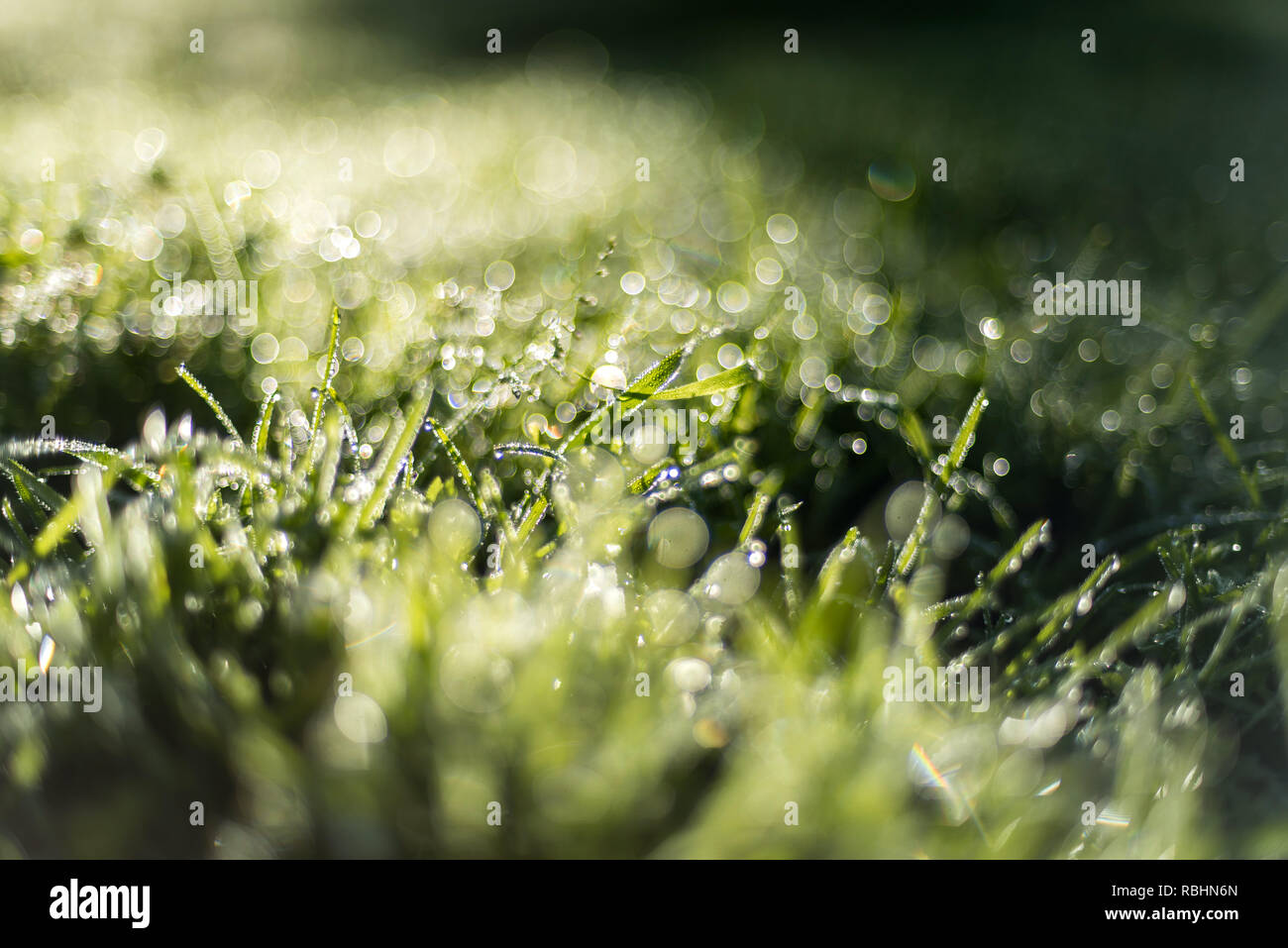 Sunshine in drops hi-res stock photography and images - Alamy
