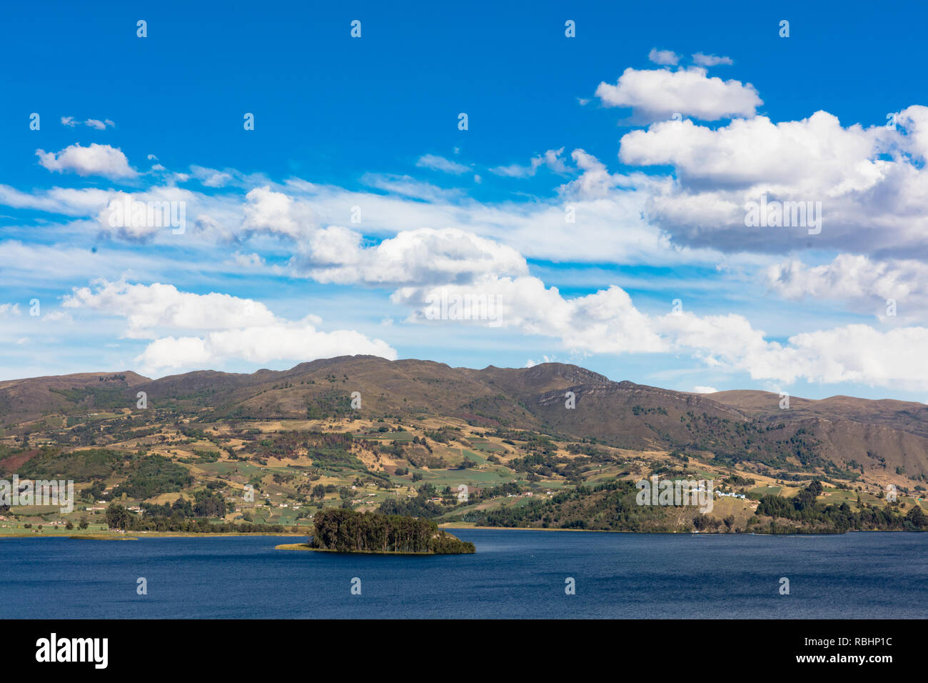 Tota hi-res stock photography and images - Alamy