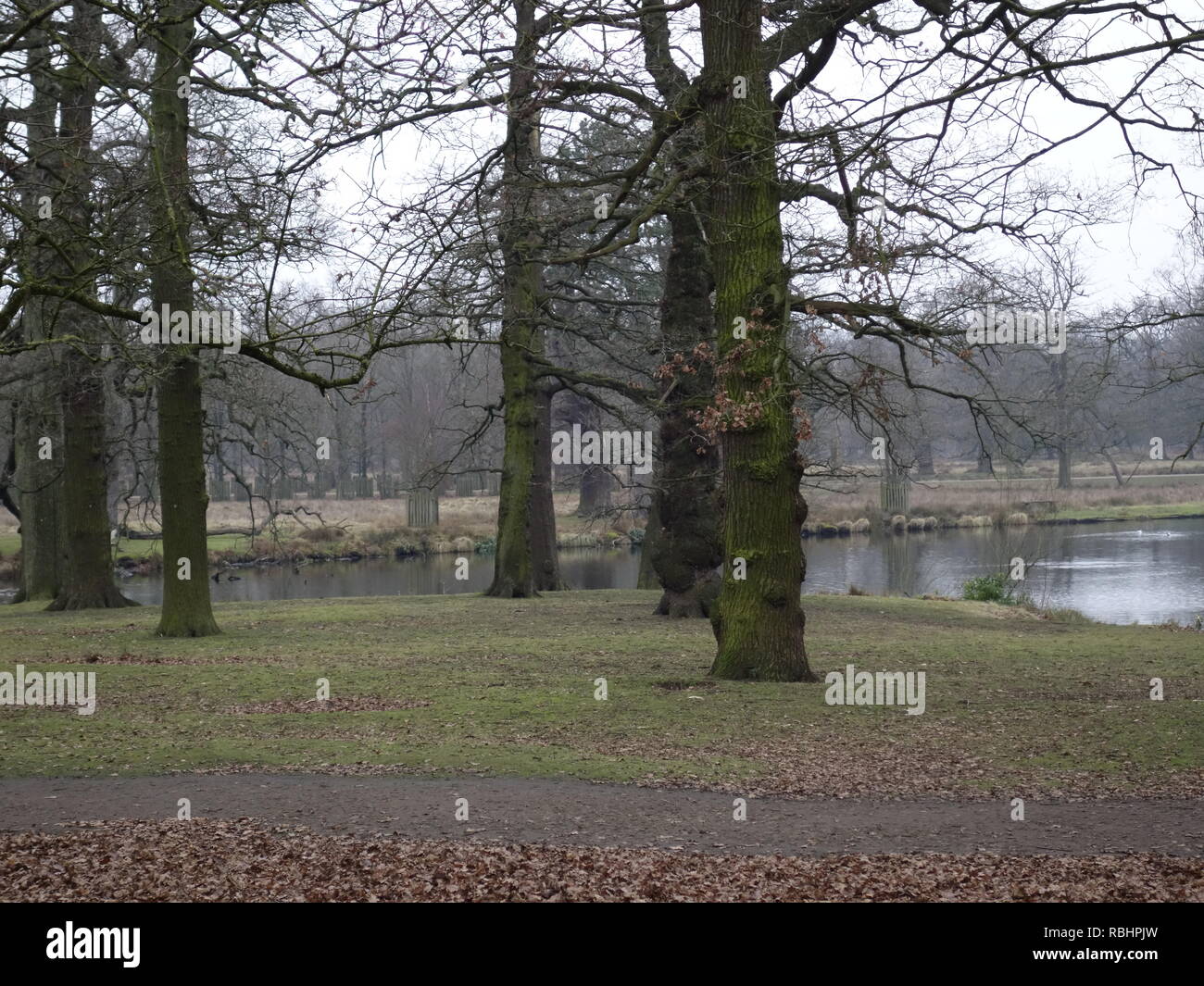 Dunham park hi-res stock photography and images - Alamy