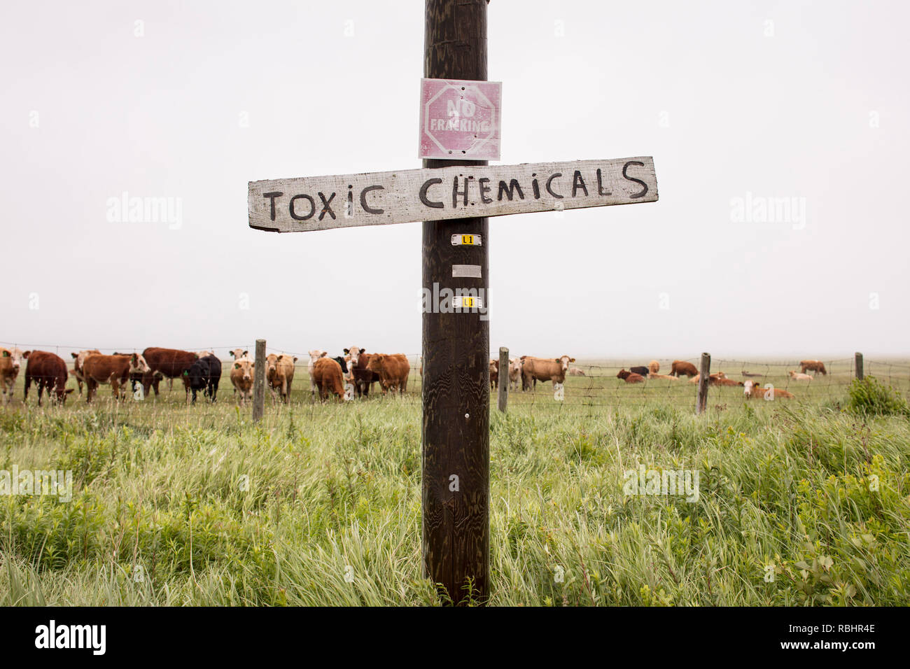 Political sign telephone pole hi-res stock photography and images - Alamy