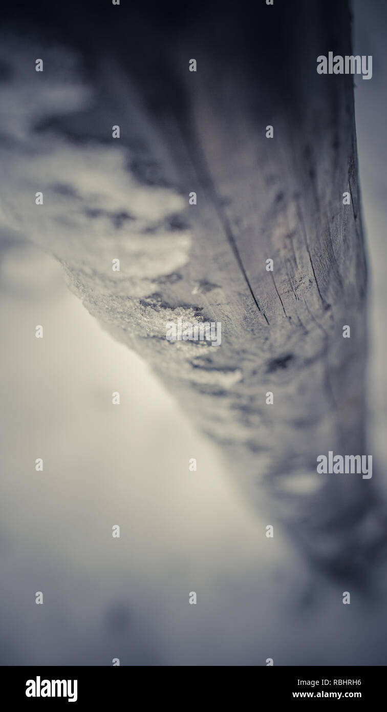 Plank season hi-res stock photography and images - Alamy