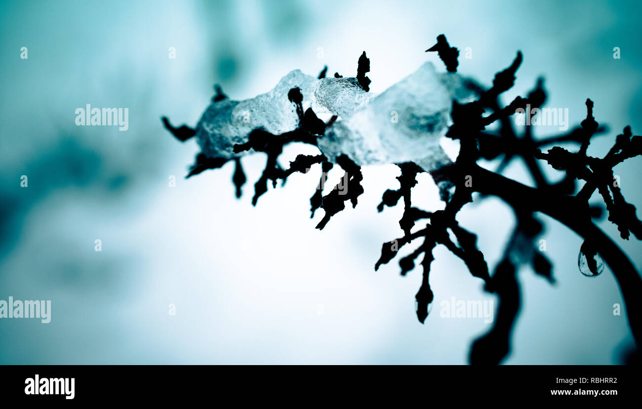 Ice season hi-res stock photography and images - Alamy