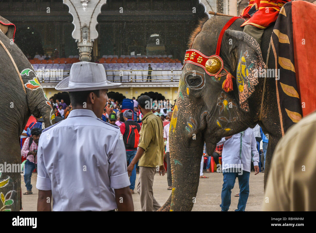 Mysore dasara elephant hi-res stock photography and images - Alamy
