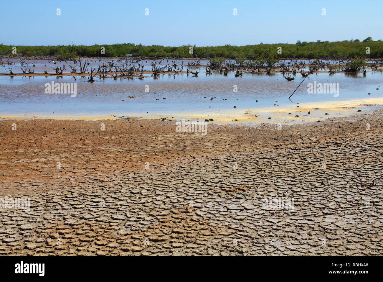 Cuba - Ancon peninsula. Dry soil and mangrove wetland area Stock Photo ...