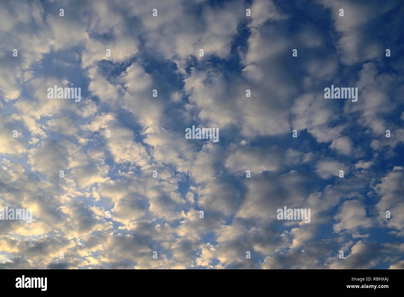 Beautiful shot of alto cumulus clouds in a blue sky Stock Photo - Alamy
