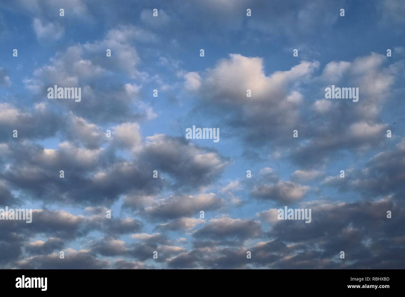 Light cirrus alto cumulus clouds hi-res stock photography and images ...