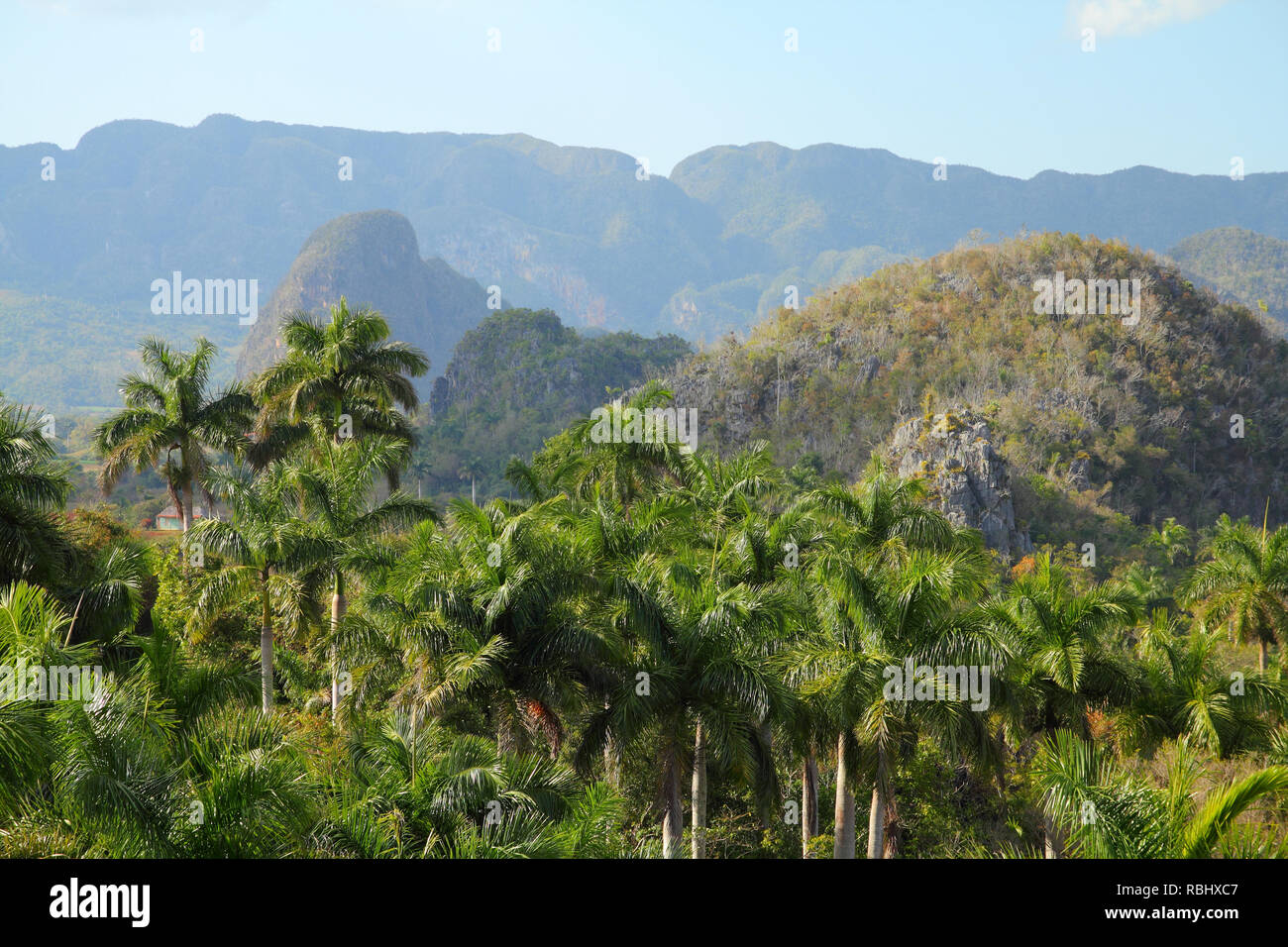 Cuba - famous mogotes karstic landscape in Vinales National Park ...