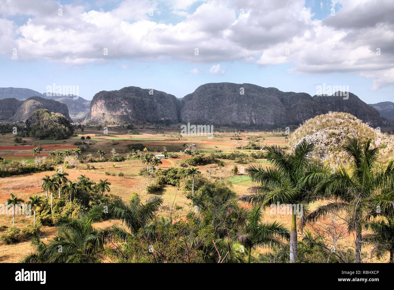 Cuba - famous mogotes karstic landscape in Vinales National Park ...