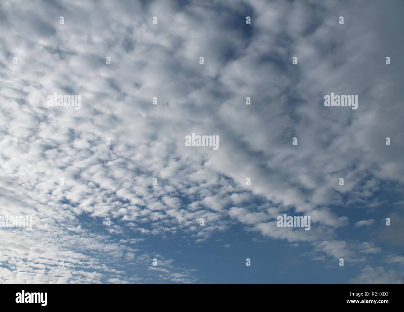 Light cirrus alto cumulus clouds hi-res stock photography and images ...