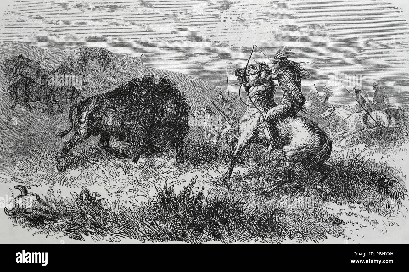United States. Native Americans. Bison hunting. Engraving, 19th century ...