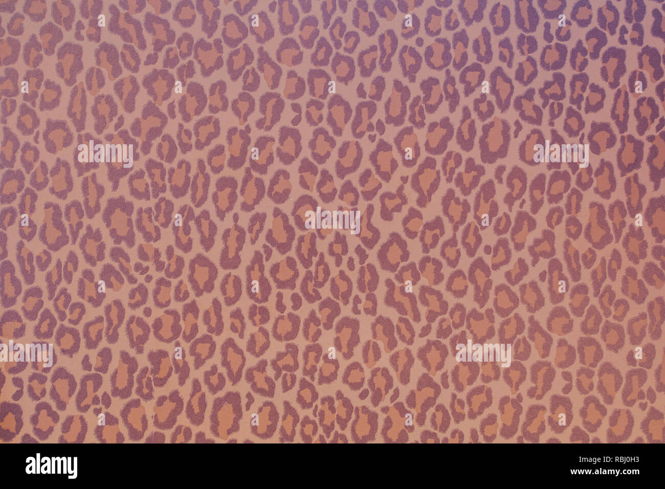 Leopard print wallpaper hi-res stock photography and images - Alamy
