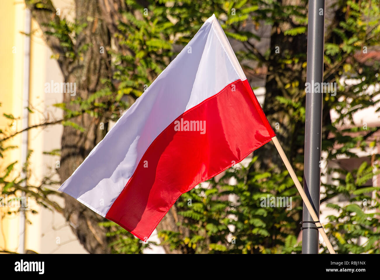 Flag polish flag hi-res stock photography and images - Alamy