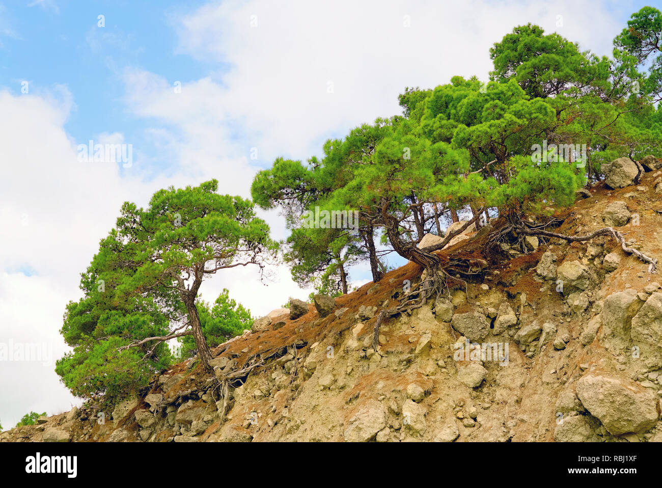 The beach Figs ,Balaklava Cape Aya Stock Photo - Alamy