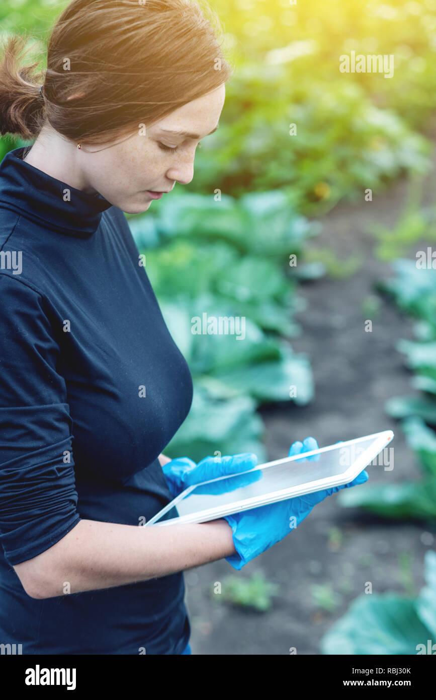 Woman agronomist specialist on the farm field using a tablet. The ...