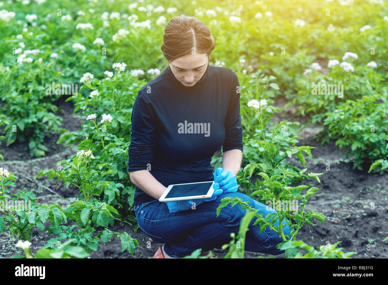 Using biomass hi-res stock photography and images - Alamy
