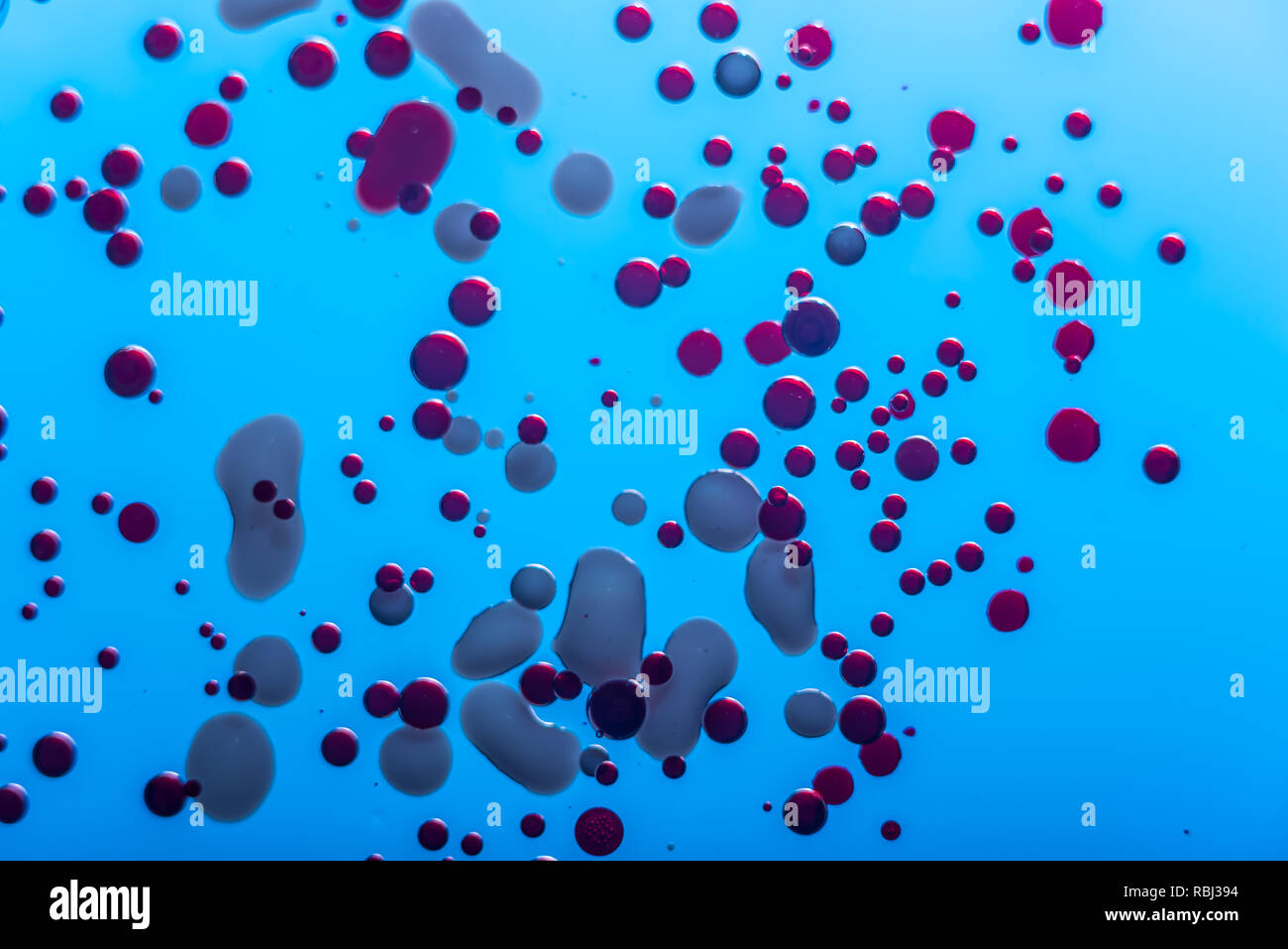 Red bubbles of blood cells on a blue background closeup. Abstraction of ...