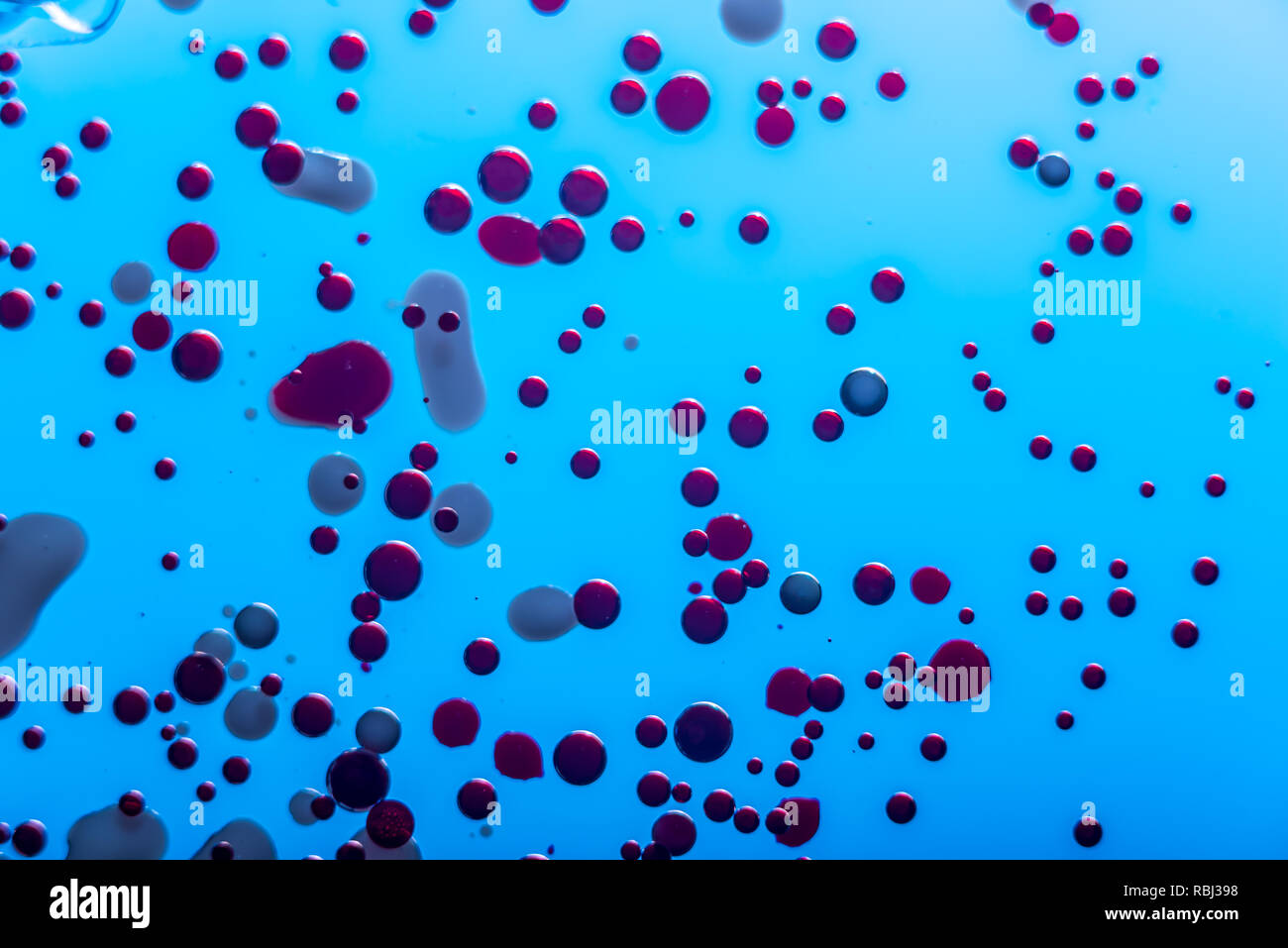 Red bubbles of blood cells on a blue background closeup. Abstraction of ...