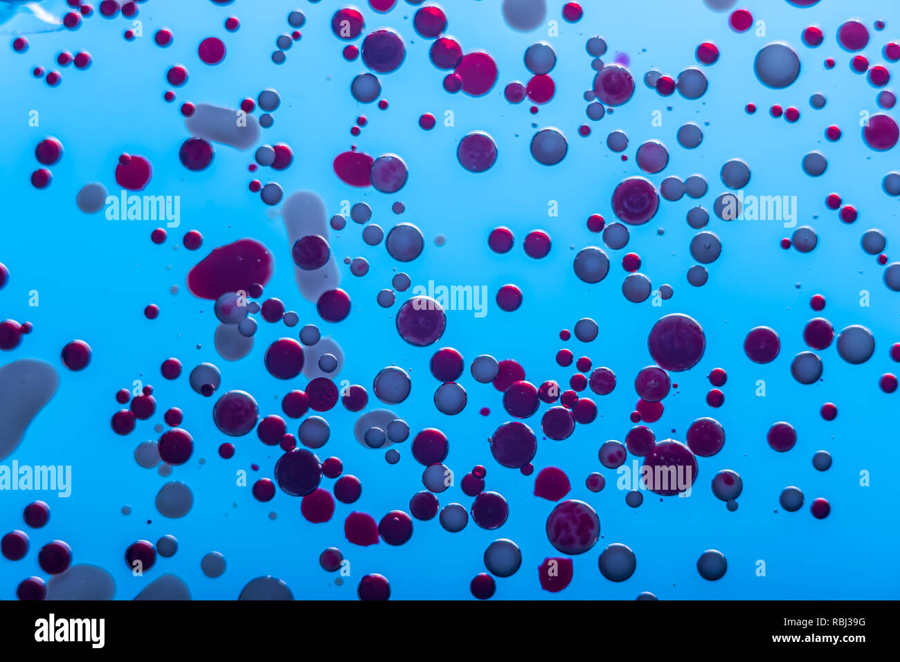Red bubbles of blood cells on a blue background closeup. Abstraction of ...