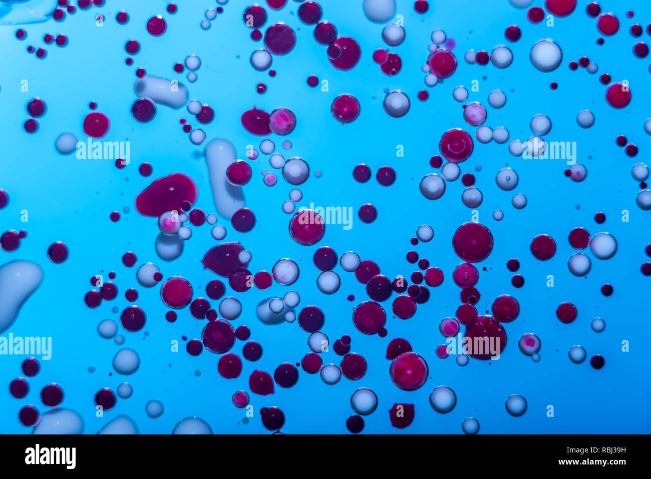 Red bubbles of blood cells on a blue background closeup. Abstraction of ...