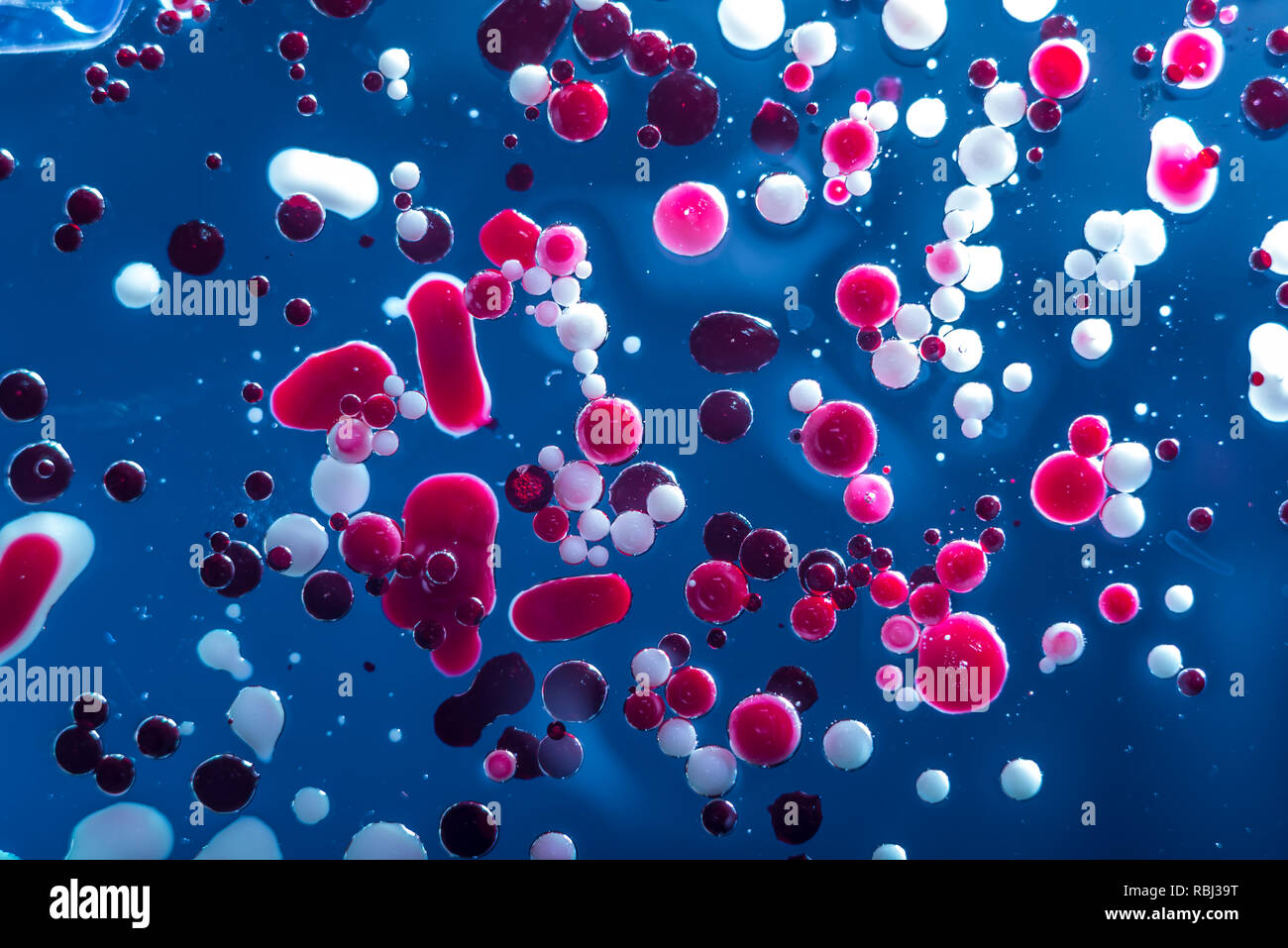 Red bubbles of blood cells on a blue background closeup. Abstraction of ...