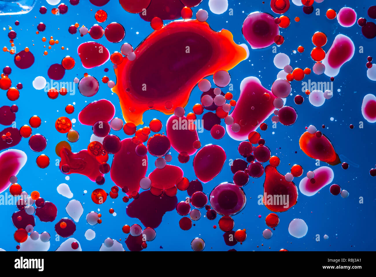 Red bubbles of blood cells on a blue background closeup. Abstraction of ...