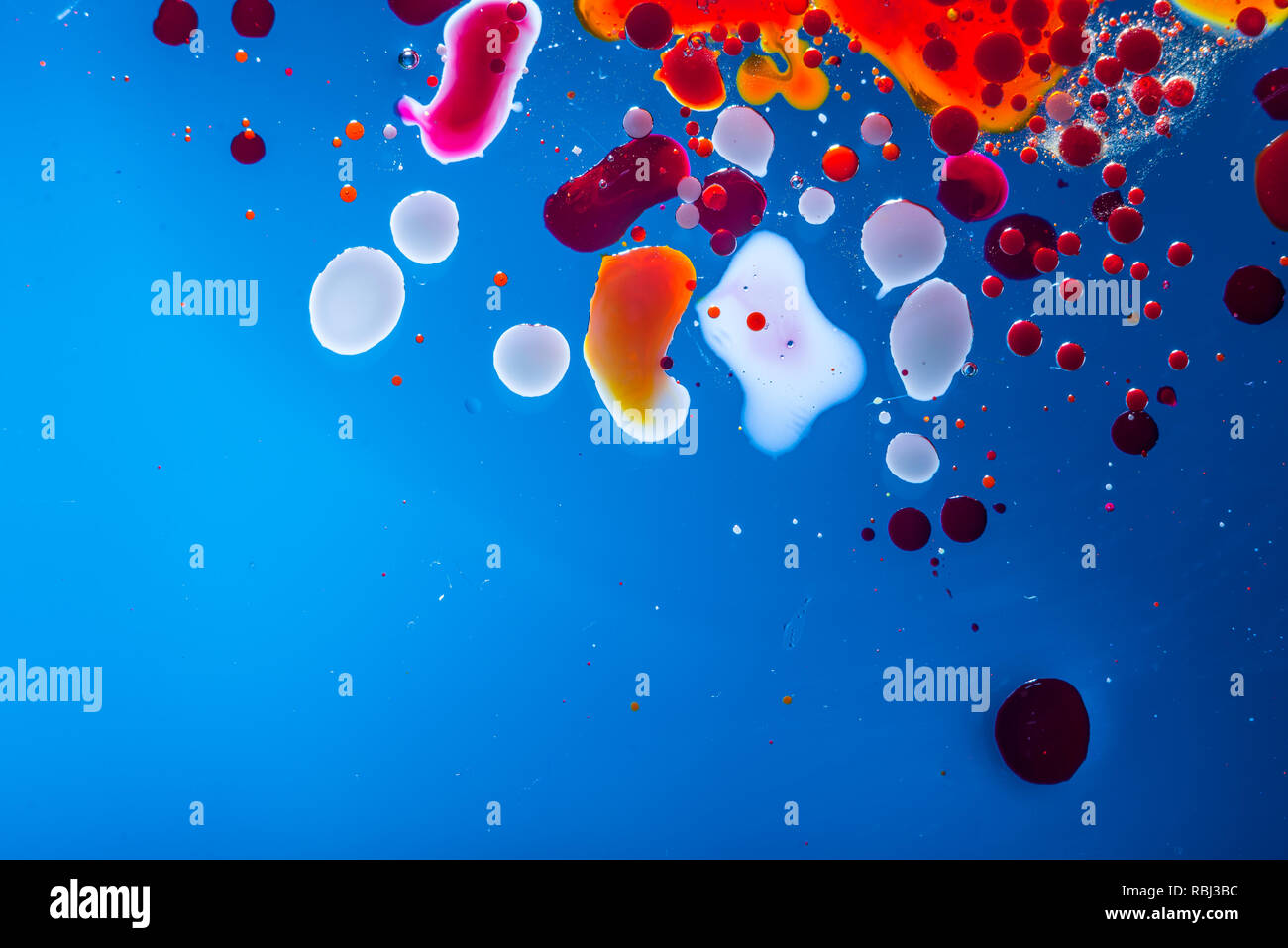 Red bubbles of blood cells on a blue background closeup. Abstraction of ...