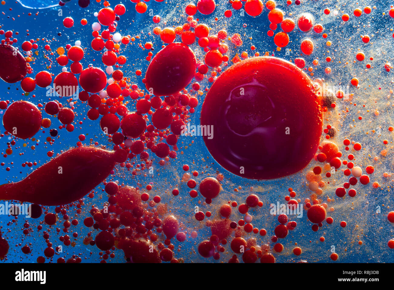 Human cells water hi-res stock photography and images - Alamy