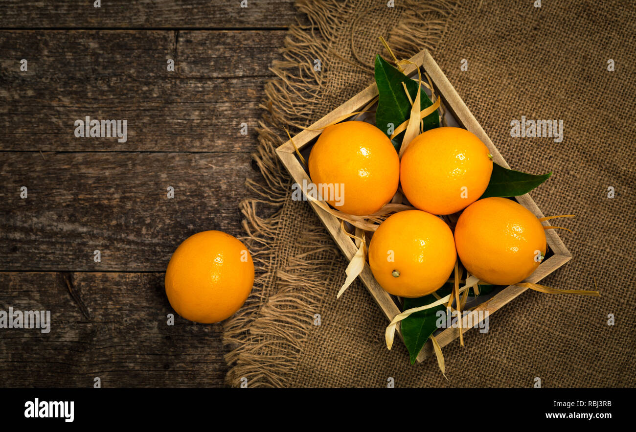 Lemon Oranges. Meyer lemon Hybrid Citrus Fruit Native to China Stock ...