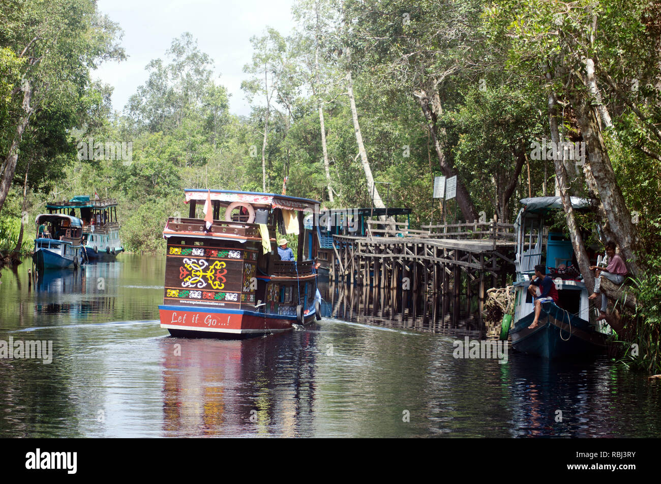 At a river bank in Borneo's Tanjung Puting National Park klotoks, or ...